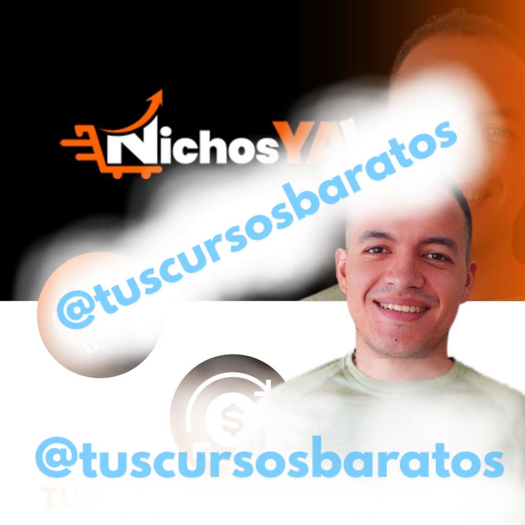 NichosYa Vip – Mijael - Tus Cursos Baratos | Descargar Cursos Completos